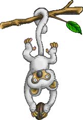 Nutter - Dragon Quest Wiki