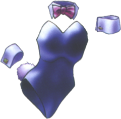 Bunny suit - Dragon Quest Wiki