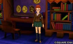 Costumes in Dragon Quest VIII - Dragon Quest Wiki