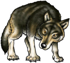 Ruff - Dragon Quest Wiki