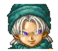 Terry - Dragon Quest Wiki