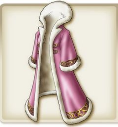 Enchanted robes - Dragon Quest Wiki