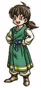 List of characters in Dragon Quest IX - Dragon Quest Wiki