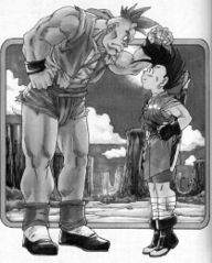 Hero (Dragon Quest VI) - Dragon Quest Wiki